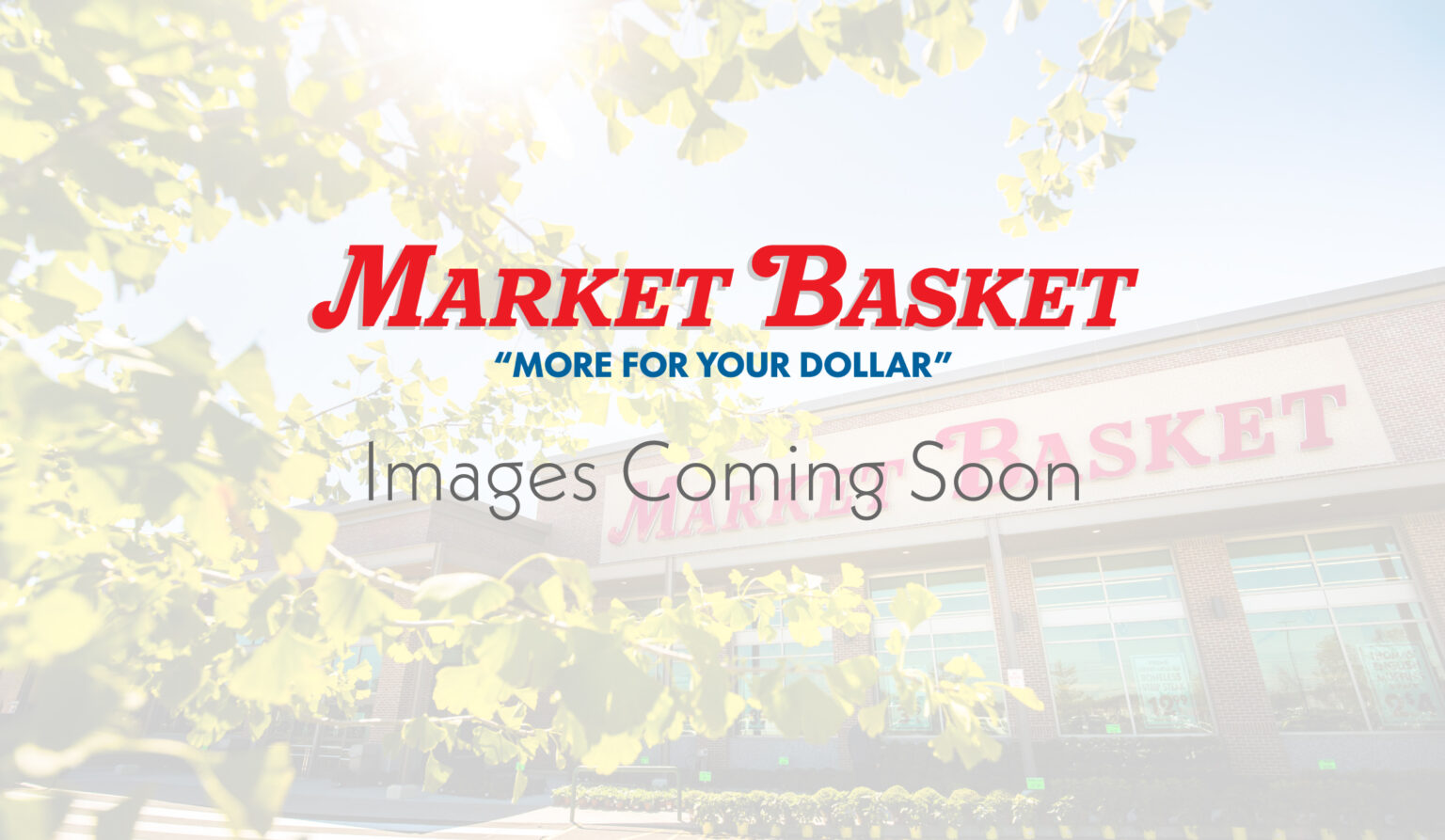 New Developments - DSM Realty